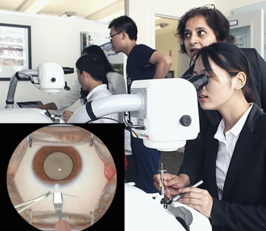 Manual Small Incision Cataract Surgery (MSICS) - Ophthalmology Course